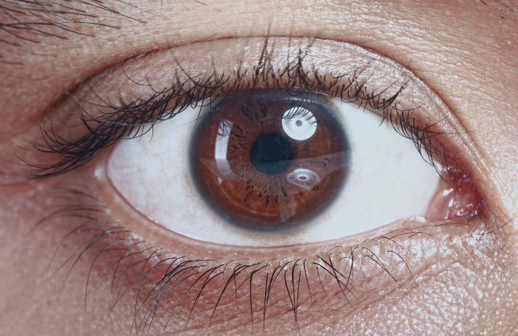 10 types of vision loss and what they mean | Reader's Digest New Zealand